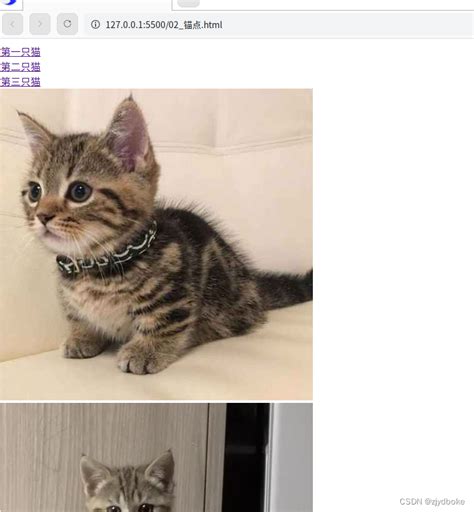 html基础入门：标记语言与网页构建 csdn博客
