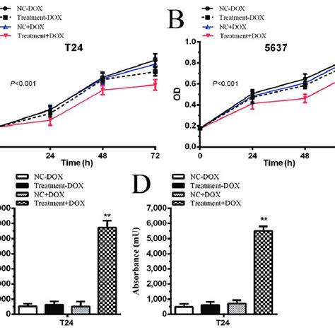 Results Of Verifynow Ⓡ P2y12 Assay Download Table