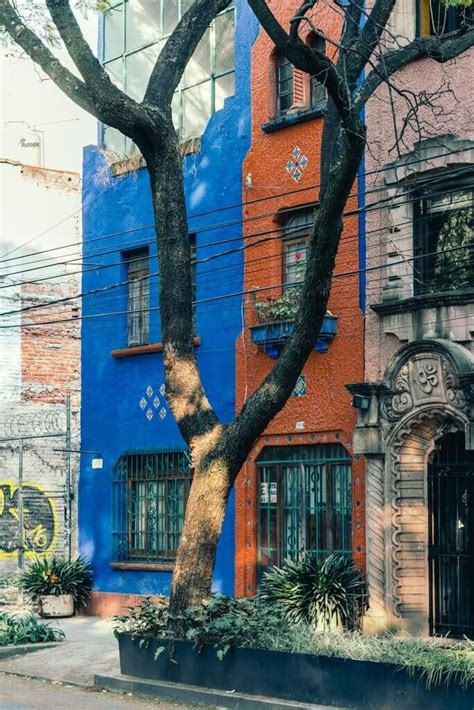 The Best Mexico City Neighborhoods To Explore Mexico City Travel