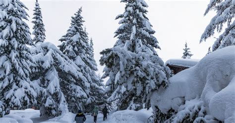 유럽 눈사태로 佛 · 스위스 스키 리조트서 사상자 4명