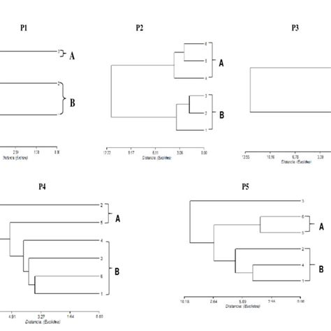 dendrogram of the hierarchical classification analysis for the piartal