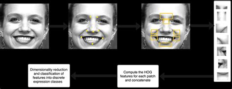 conception of the facial expression recognition system a