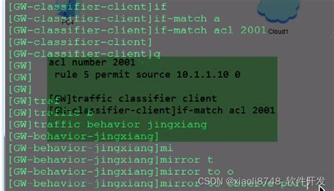 现网真机怎么抓包？端口镜像实战！9 2镜像端口的配置以及抓包 Csdn博客