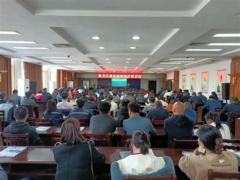 全市首个！洛龙区入选全省商业秘密保护创新试点澎湃号·政务澎湃新闻 The Paper