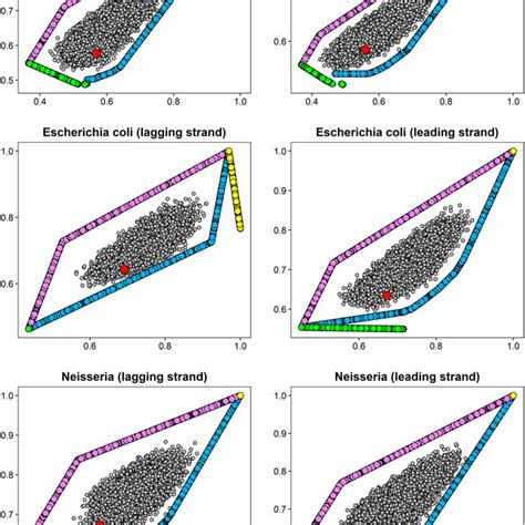 Substitution Rate Matrix Q For The Unrestricted Model Of Nucleotide Download Table
