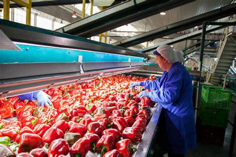 Andalucía Bate Récord De Exportaciones Agroalimentarias Con 11255