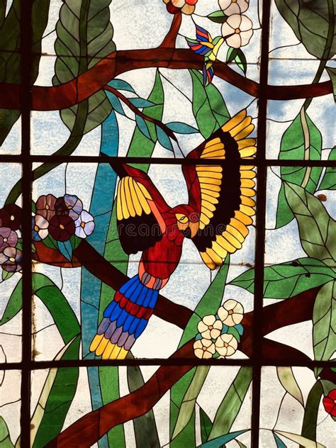 Vitral Loro Fotos De Stock Fotos Libres De Regalías De Dreamstime