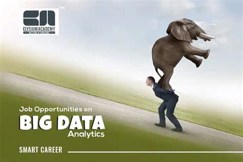 Big Data Analytics Career All You Should Know About