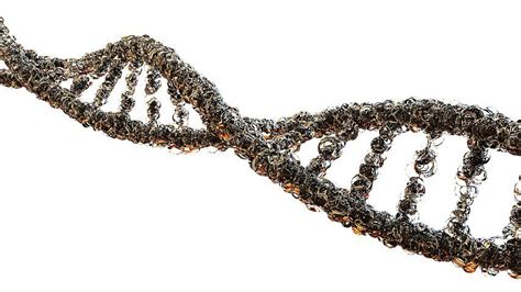 Naturenbt 单碱基编辑在非人灵长类动物中的首次应用：靶向pcsk9基因预防心血管疾病 知乎