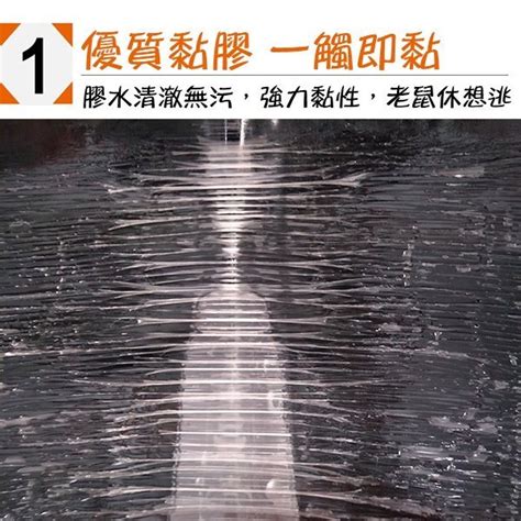 捕抓老鼠 捕鼠器 捕鼠片 黏鼠魔毯 滅鼠魔毯 捕鼠板 黏鼠帶 粘鼠板 捕鼠器 捕鼠毯 黏鼠毯 Yahoo奇摩拍賣