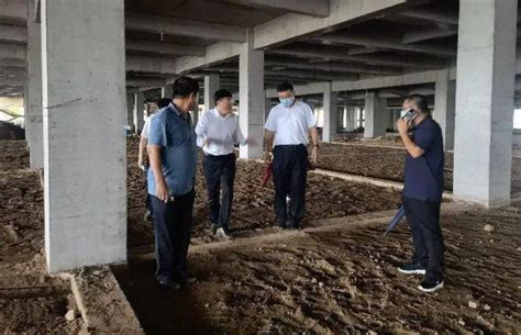 县领导王立峰侯兰坤到中奥场馆——故城体育综合体进行调研建设项目文化