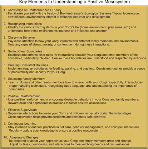 Mesosystem Interactions Between Microsystems Pembroke Welsh Corgis 1