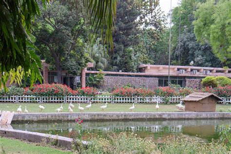 Delhi Zoological Park India 13 April 2024 Random Bird Photography