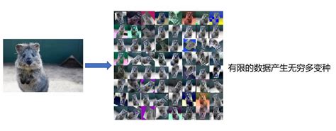 Image Size Csdn