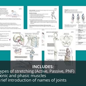 Joints And Range Of Motion Printable PDF Study Guide Printable PDF Joints And Body Movements