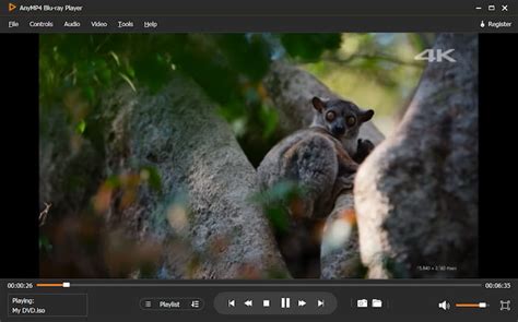 Windows 11 で Dvd を再生する方法 ソフトウェアとハードウェアを含む