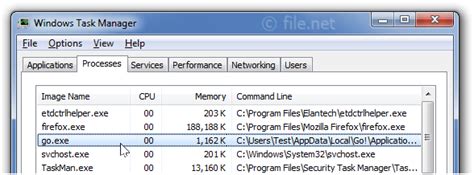 Go Exe Windows Process What Is It
