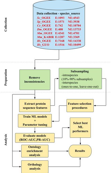 bioinformatic workflow for essential gene classification and evaluation