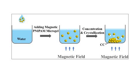 Magnetic Field Assisted Fast Assembly Of Microgel Colloidal Crystals Langmuir