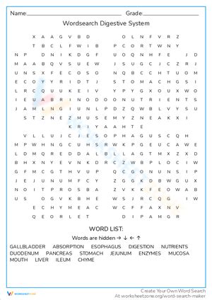 Human Body Structure Worksheets