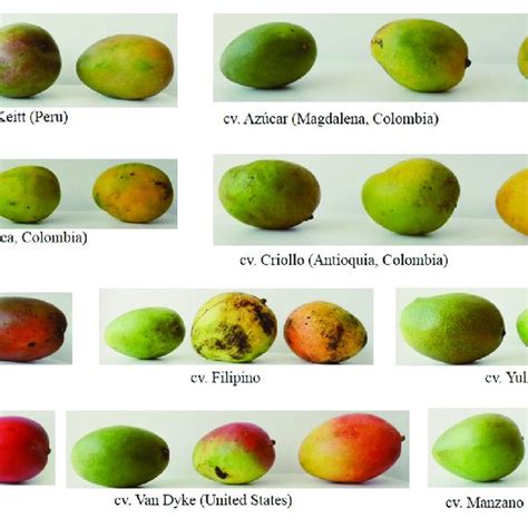 Pdf Chemical Composition Of Mango Manera Indica L Fruit Nutritional And Phytochemical