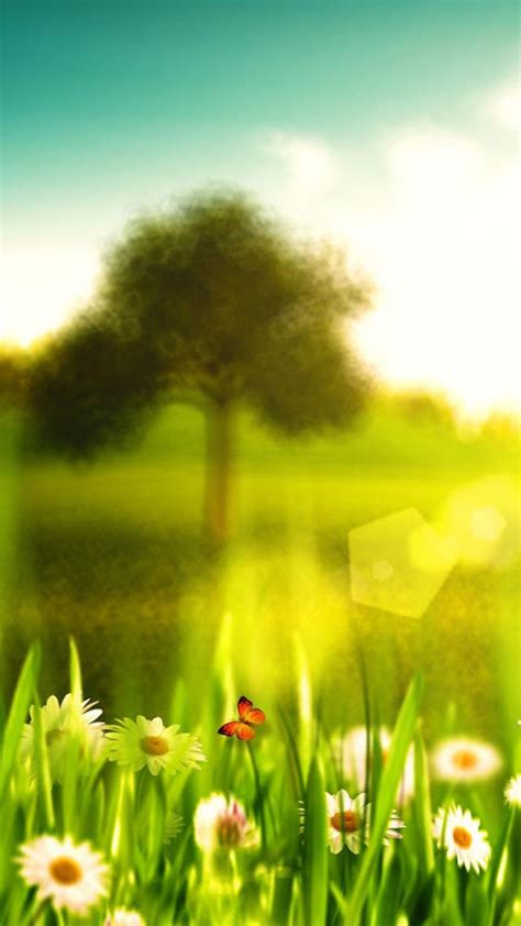 Spring Live Wallpaper Apk For Android Download