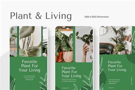 Plant Instagram Story Template Social Media Ft Instagram And Story