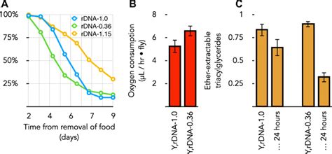 Rdna Copy Number Polymorphism Express Consequential And Selectable Download Scientific Diagram