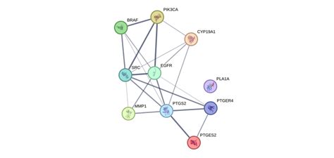 Pathcards Relationship Between Inflammation Cox 2 And Egfr Pathway