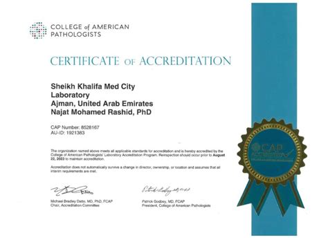 Dr Najat Rashid Phd Posted On Linkedin