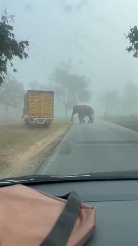 കൂട്ടുകൊമ്പന്മാർ 3 മീറ്റർ ചെക്കിങ് അളന്ന് സ്ഥലം തികഞ്ഞില്ലെങ്കി