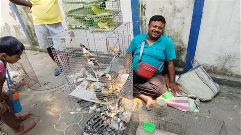 শ্রীরামপুর হাটের নতুন ভিডিও স্পেশাল পুজো অফার Youtube
