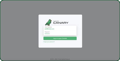 How Do I Create A DNS Canarytoken Thinkst Canary