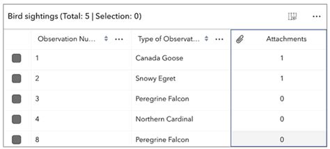 FeatureTable API Reference ArcGIS Maps SDK For JavaScript Esri Developer