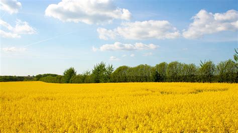Brødr Ewers Alt Til Landbruget Se Mere Brdr Ewers Dk