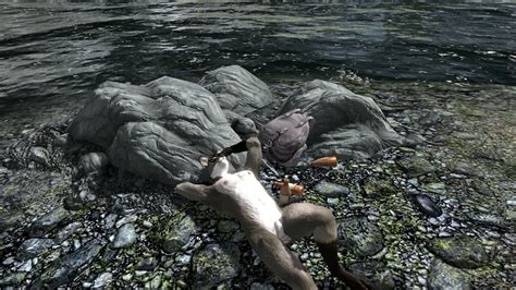 Fox Replacer For Lykaios Race Now Includes Raccoons Downloads Skyrim Special Edition