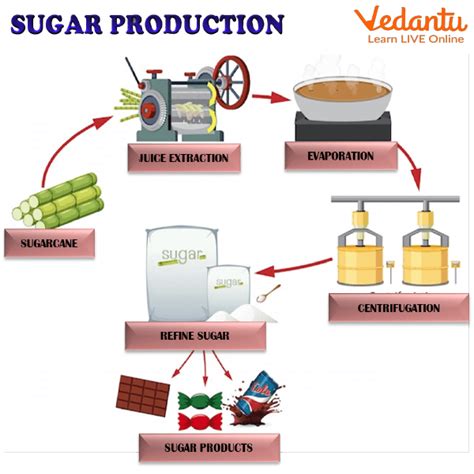 Process Flow Diagram Of Sugar Manufacturing Sugar Facts For