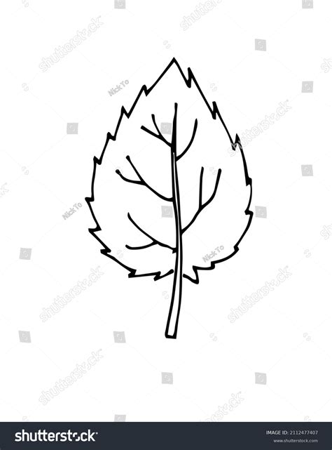 Tree Leaf Hand Drawing Outline Sketch Stock Vector Royalty Free 2112477407 Shutterstock