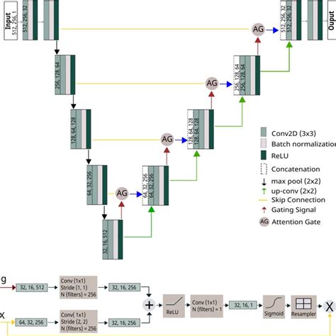 A Proposed Network Architecture Unlike In Standard U Net Download Scientific Diagram
