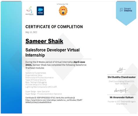sameer s on linkedin salesforcedeveloper