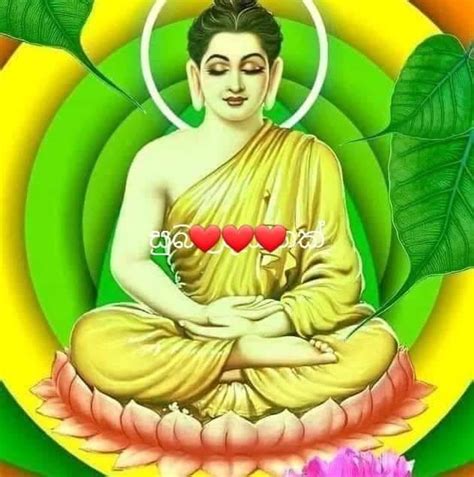 ͡ ͜͡🌾එකම 🌹රෑනේ 🌷🌾කුරැල්ලෝ🌾⚘͜͡ ͜͡