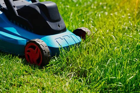 무성한 녹색 잔디밭에 잔디 깎는 기계 잔디의 절반 손질 집 뒤뜰 0명에 대한 스톡 사진 및 기타 이미지 0명 독일 사진 이미지 Istock