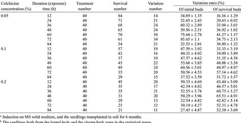 Effect Of Different Concentrations And Treatment Duration Of Colchicine