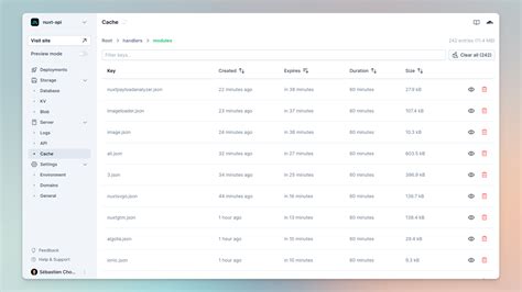 Server Cache UI NuxtHub Blog