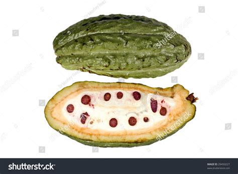 Sectioned Cocoa Pod Showing Beans Inside Stock Photo Shutterstock