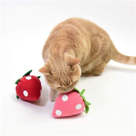 猫用おもちゃ いちご またたび ペットトイ キャットトイ ぬいぐるみ イチゴ 苺 ゴロにゃんオリジナル いちごちゃん オリジナル猫の