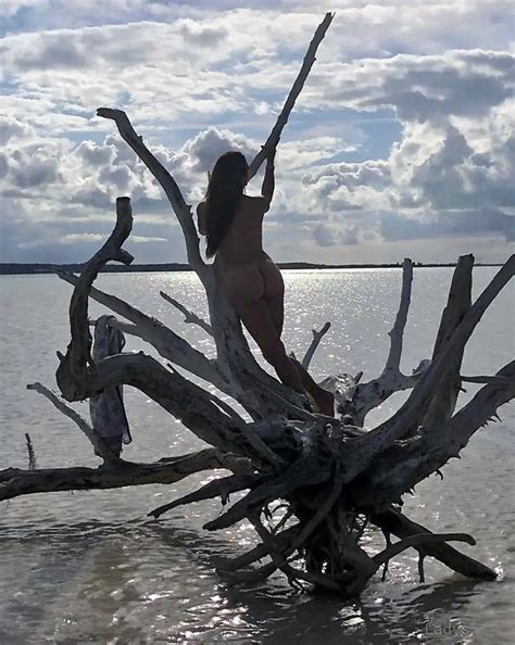 Brooke Shields Nude Gif