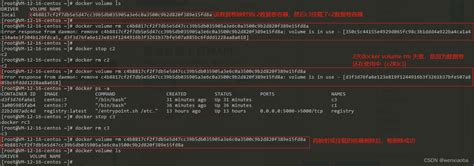 Docker入门教程docker Load Csdn博客