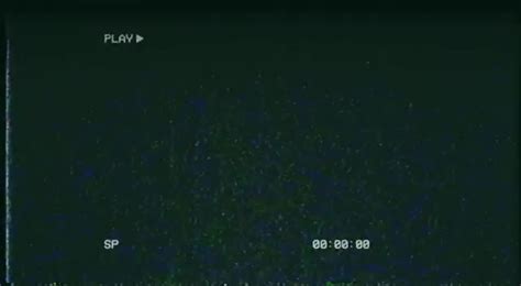 Listya Ari Putri On Linkedin Aldo Aldocrew Aldoindonesia Indonesia