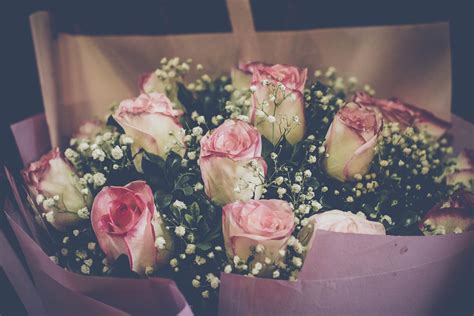 무료 이미지 꽃들 꽃꽂이 담홍색 플로리스트 리 꽃다발 장미 꽃 장미 가족 정원 장미 중앙부 장식 장미의 주문 플로랄 디자인 결혼 예식 공급 꽃잎